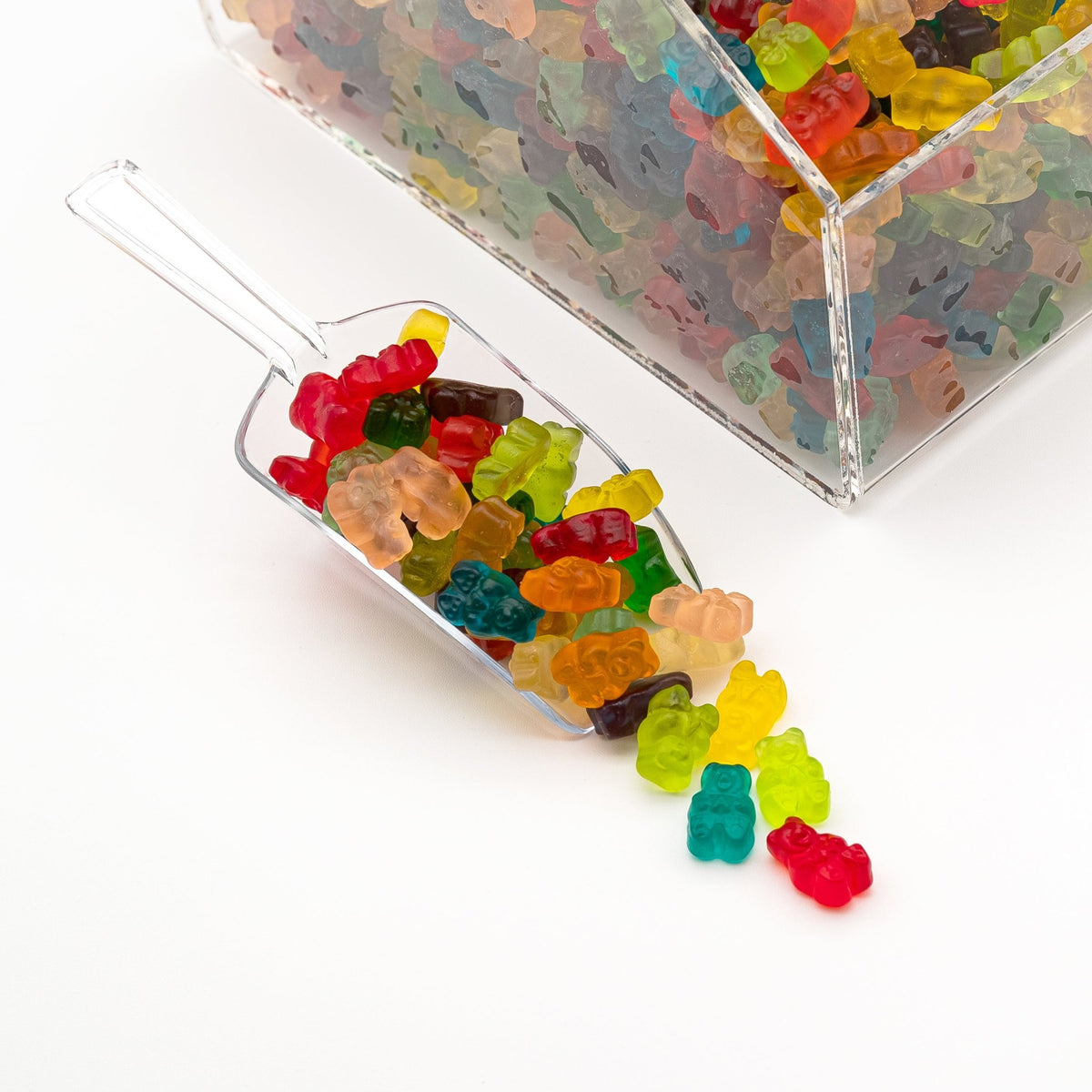 12 Flavor Gummy Bears Buy Now | Sugar Bear Candy