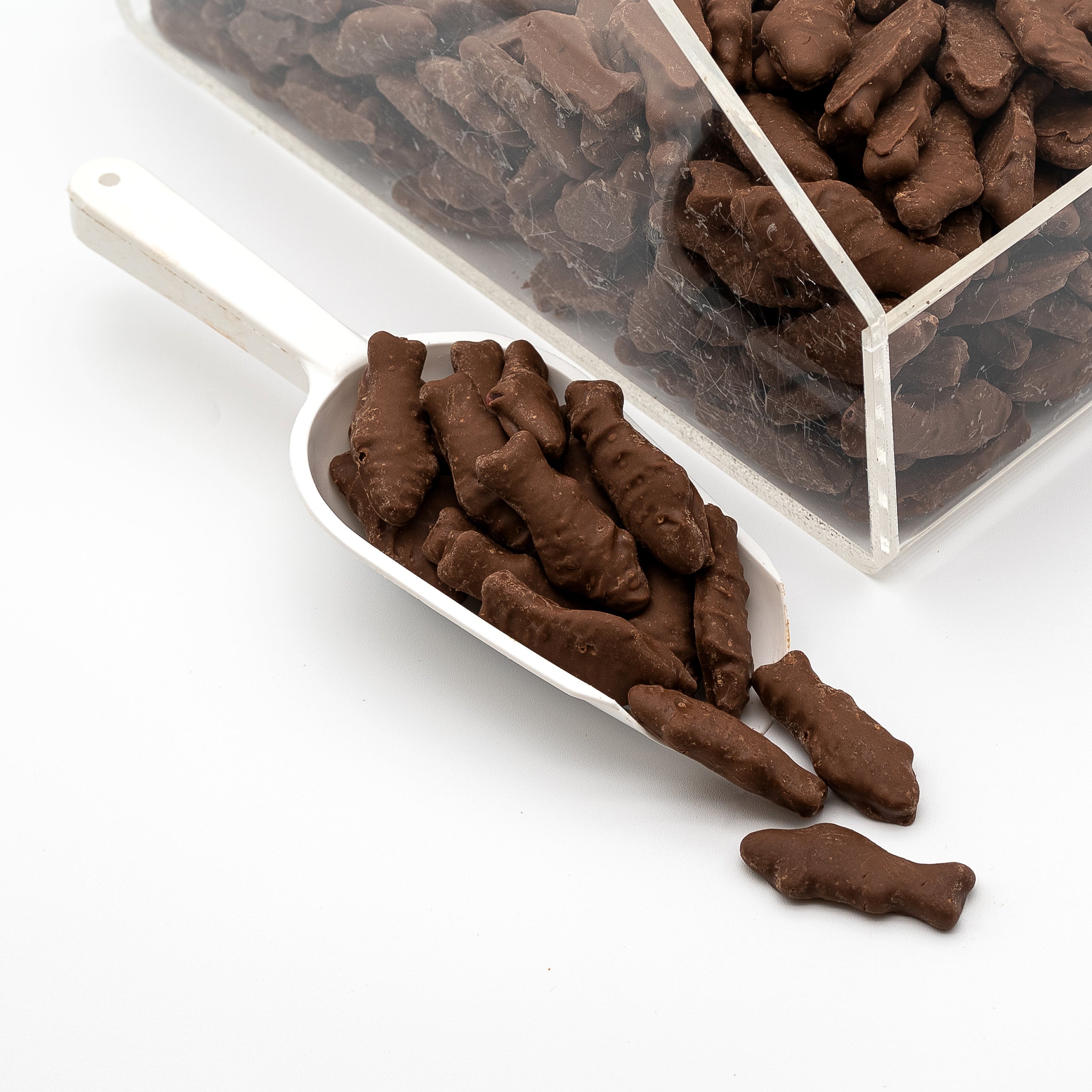 Milk Chocolate Covered Swedish Fish — Sugar Bear Candy