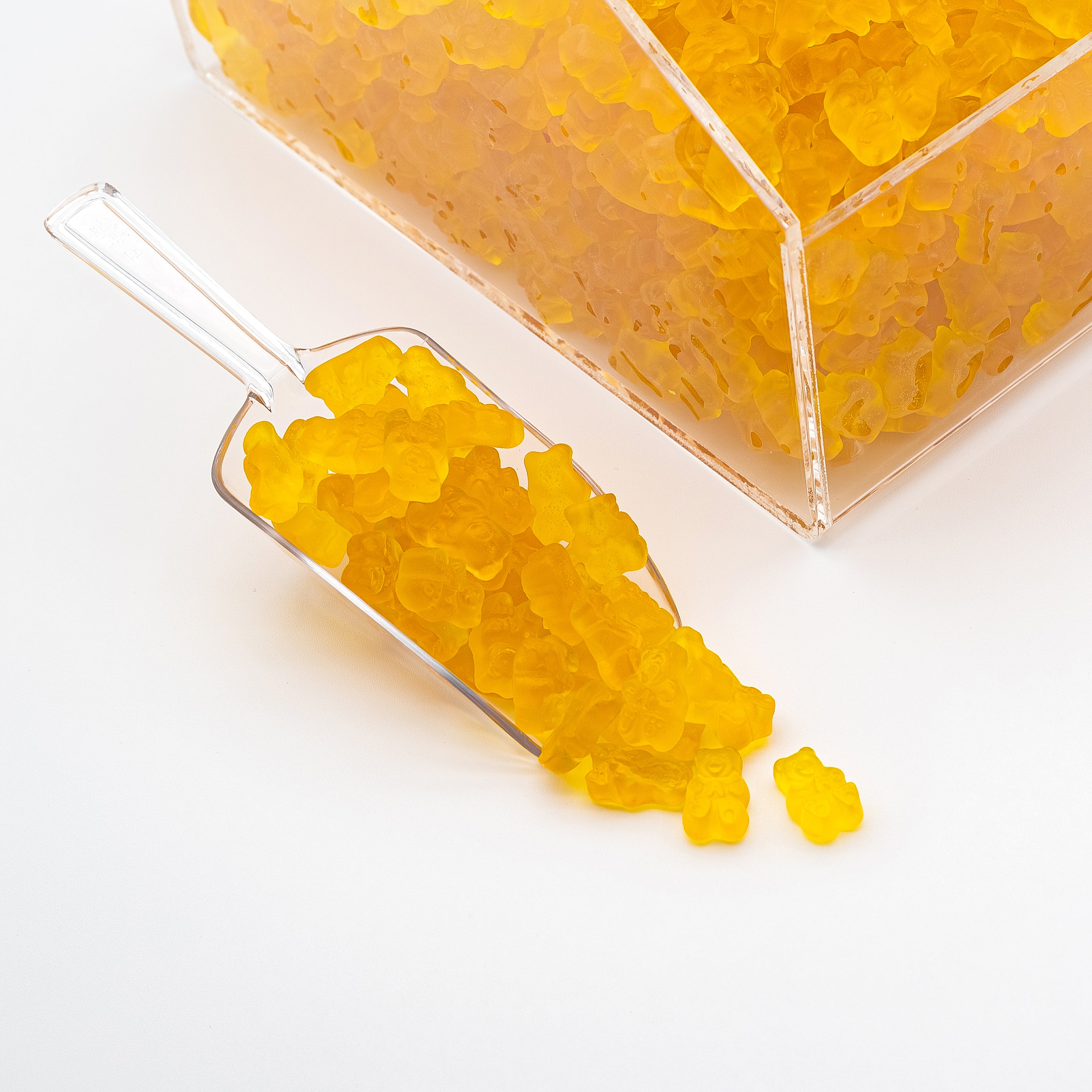 Pineapple Gummi Bears | Sugar Bear Candy