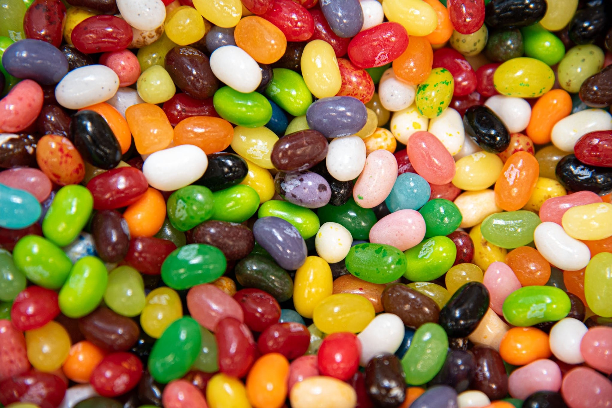 49 Flavor Jelly Belly Assorted Jelly Beans — Sugar Bear Candy