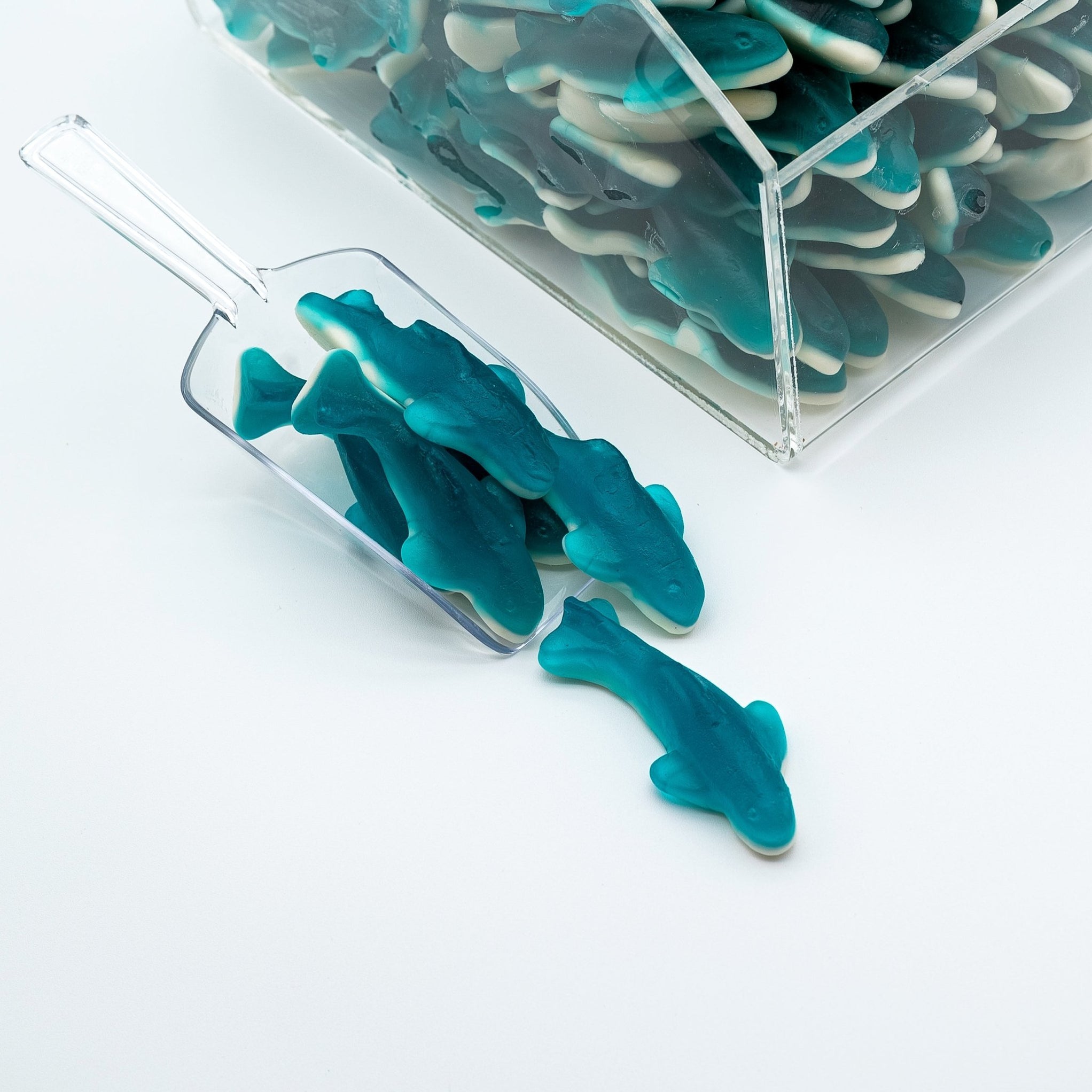 Giant Gummy Killer Blue Shark — Sugar Bear Candy