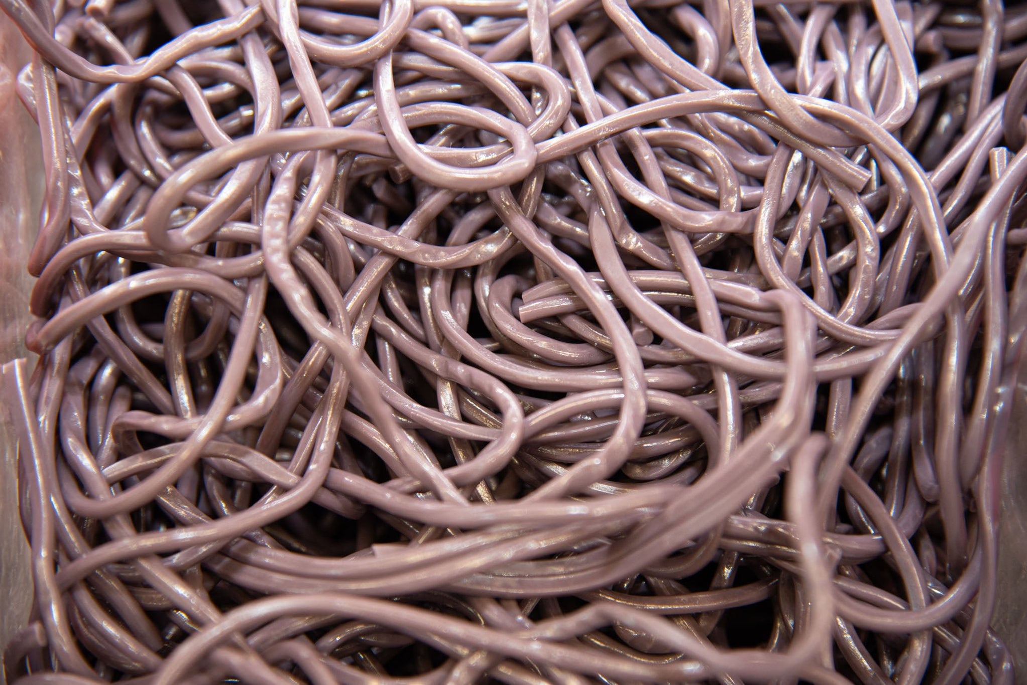 Buy Online Grape Licorice Laces | Sugar Bear Candy