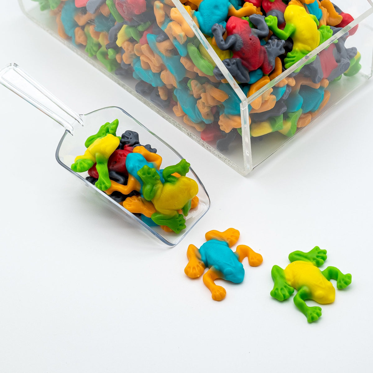 Gummy Rainforest Frogs — Sugar Bear Candy