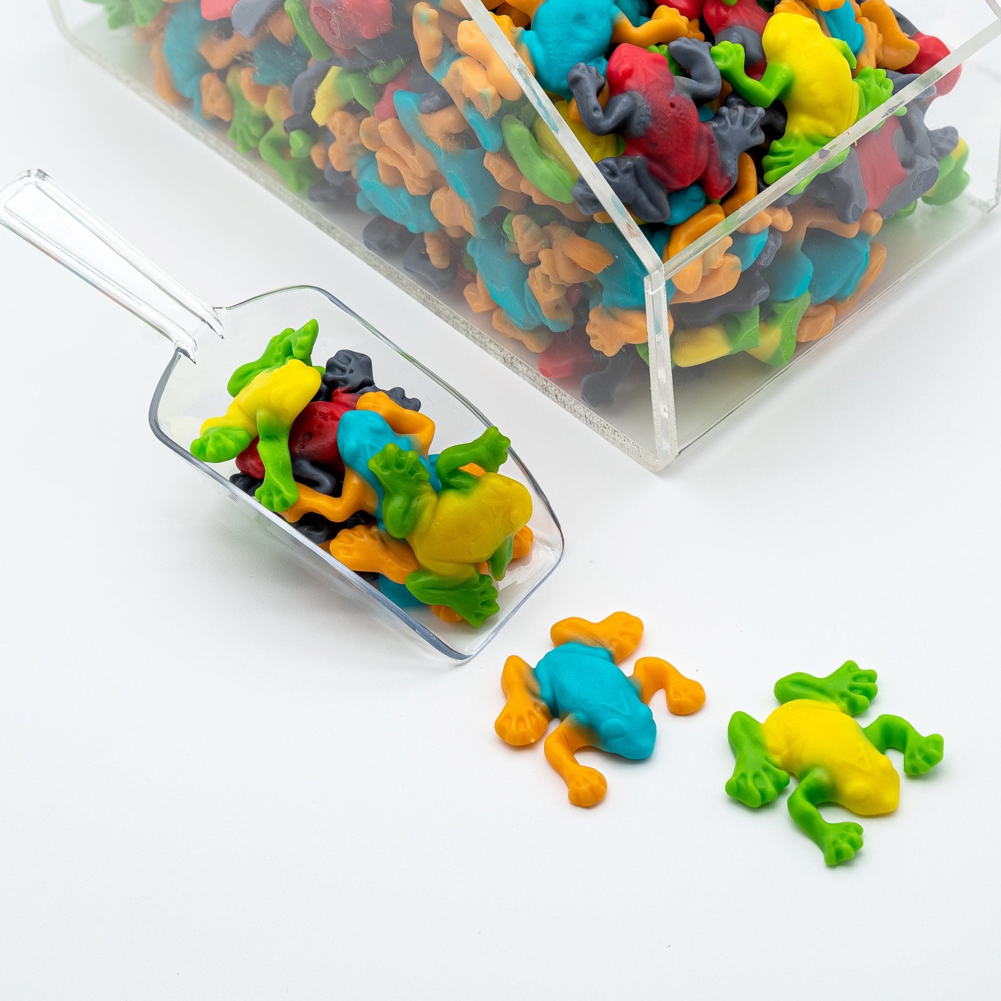 Gummy Rainforest Frogs — Sugar Bear Candy
