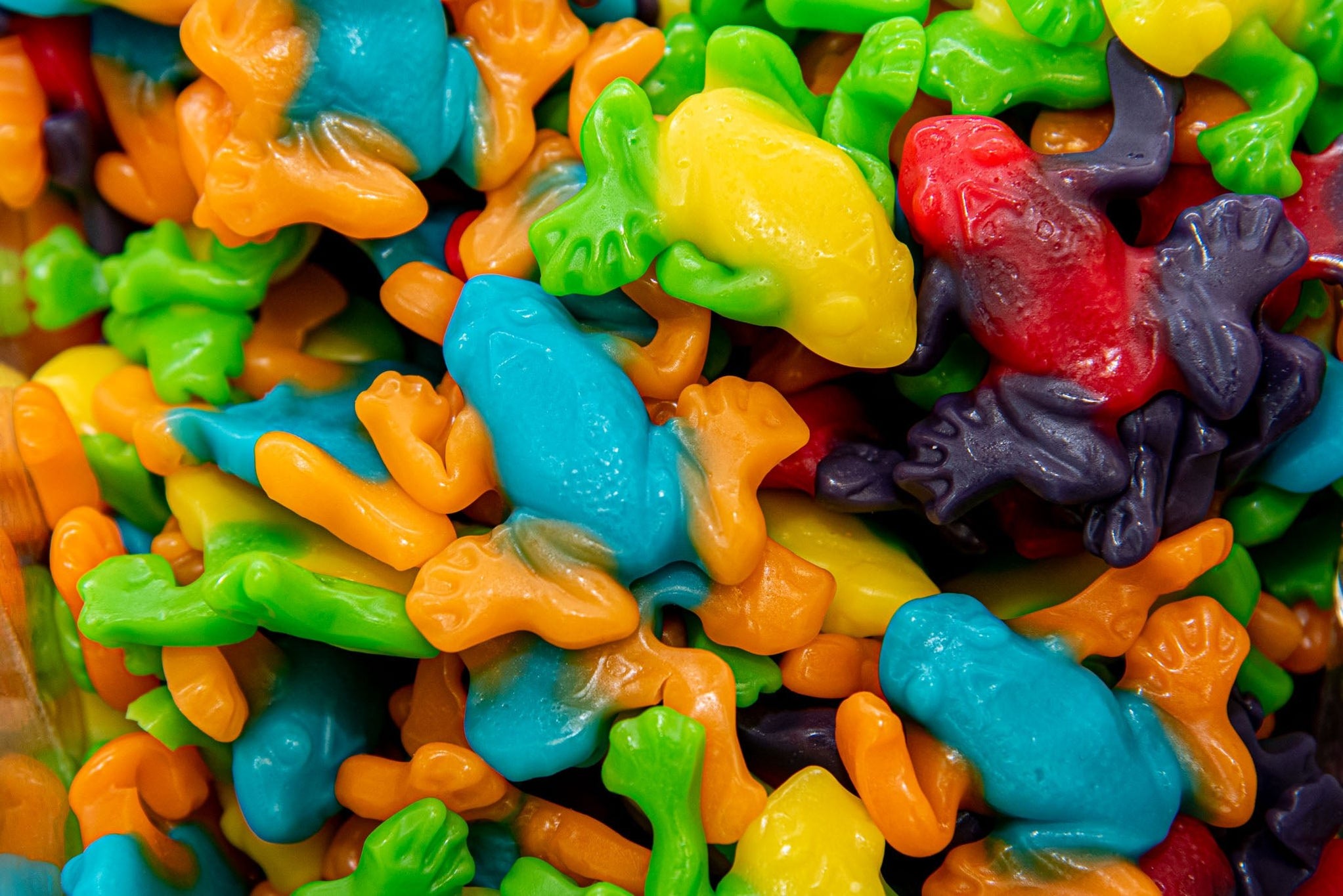 Gummy Rainforest Frogs — Sugar Bear Candy