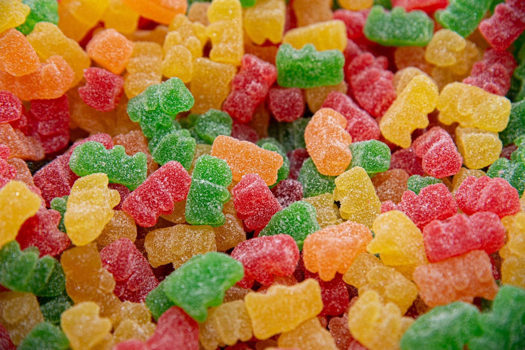 Buy Gummy Sour Bears | Sugar Bear Candy
